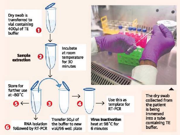 CCMB finds cheaper, more effective RT-PCR method to test COVID-19 ...